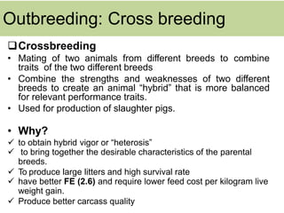 Swine-Production-Management.pptx
