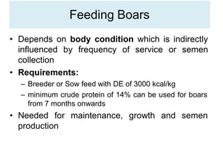 Swine-Production-Management.pptx