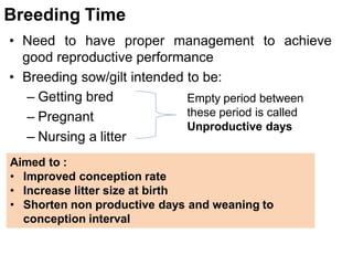 Swine-Production-Management.pptx