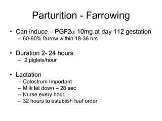Swine-Reproduction-and-Production-Management.ppt