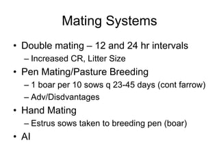 Swine-Reproduction-and-Production-Management.ppt