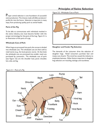 Swine student-ref. | PDF