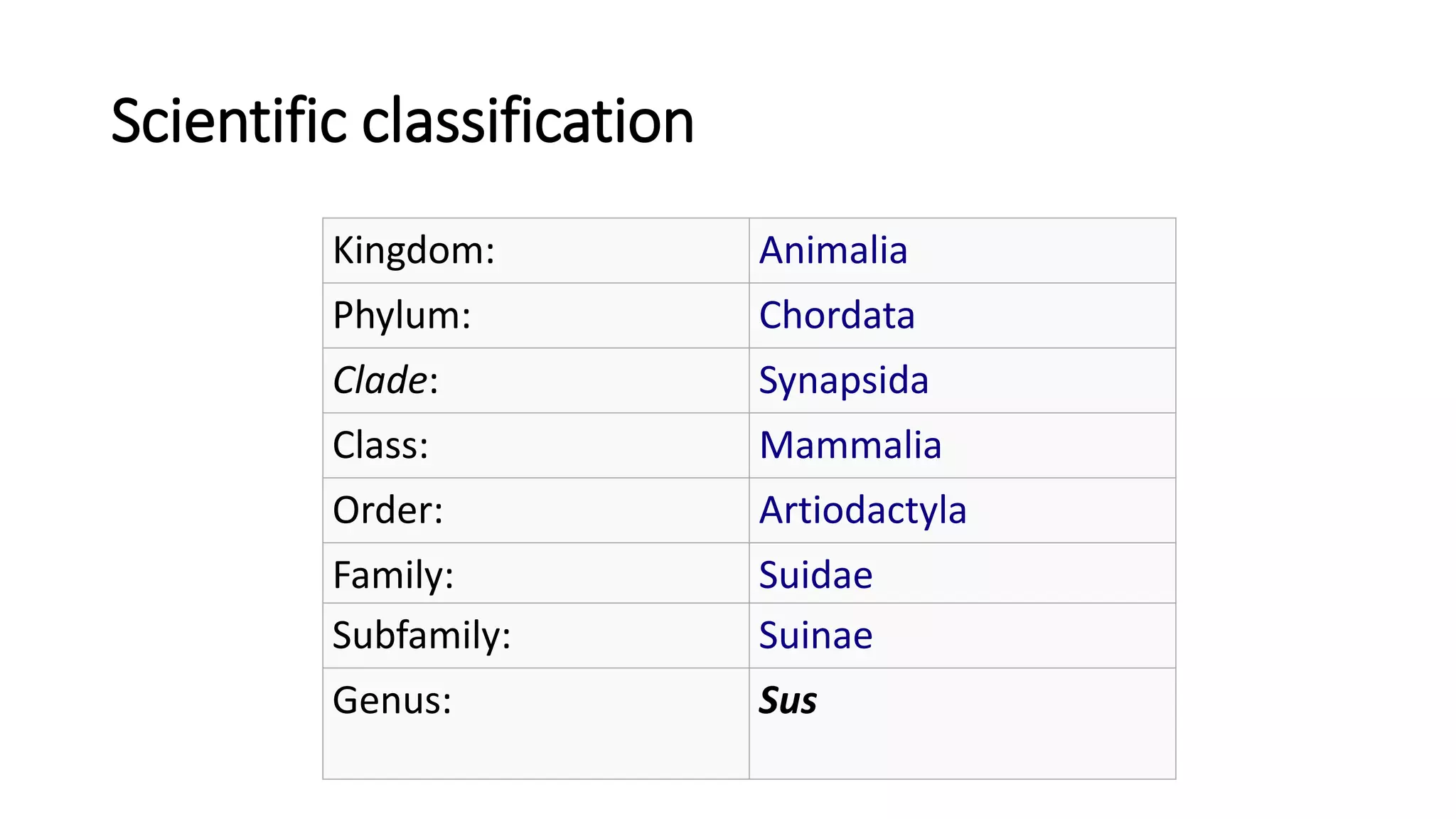 Swine breed duroc | PPTX
