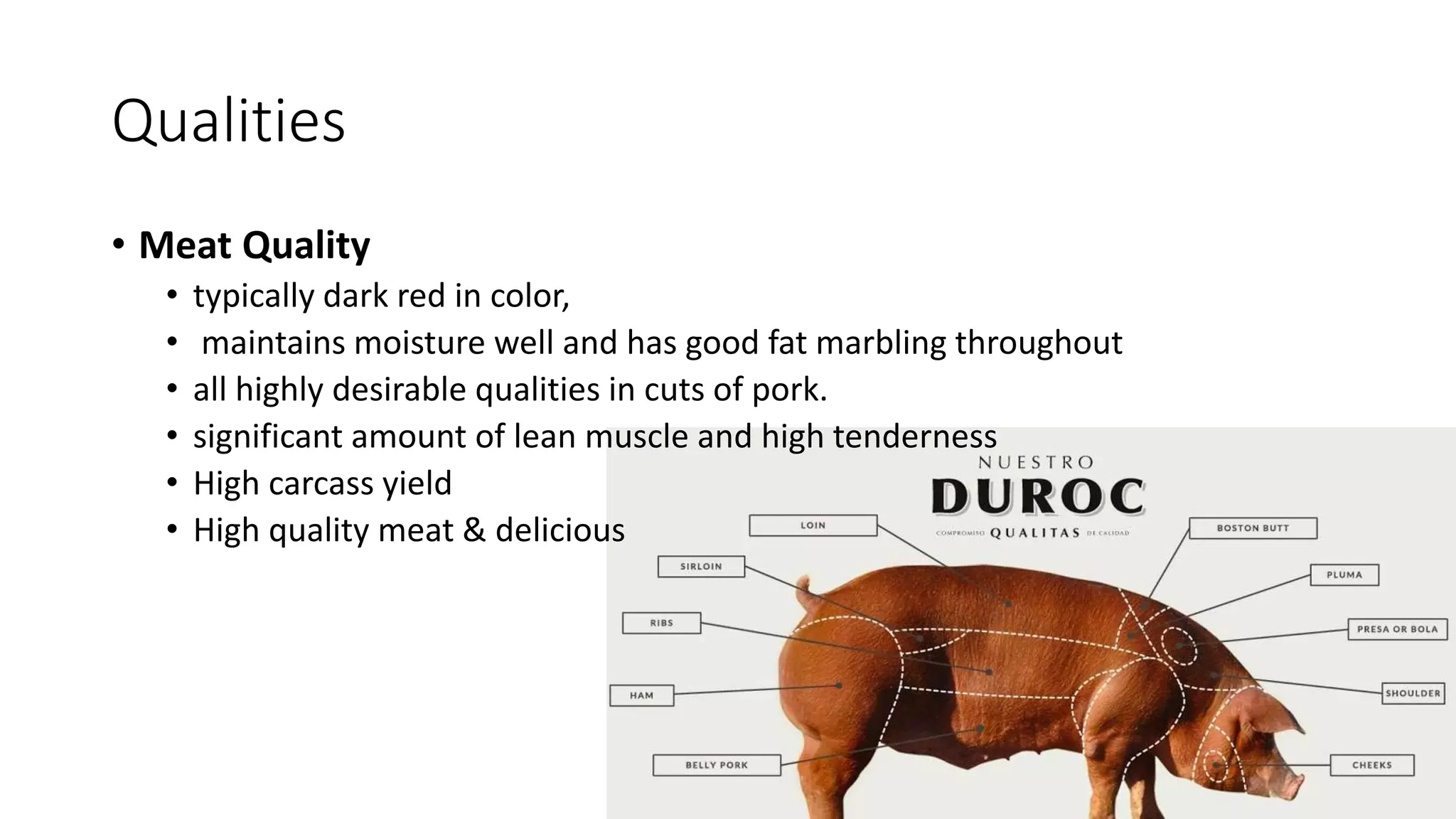 Swine breed duroc | PPTX