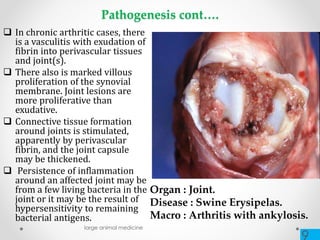 Swine erysipelas | PPTX