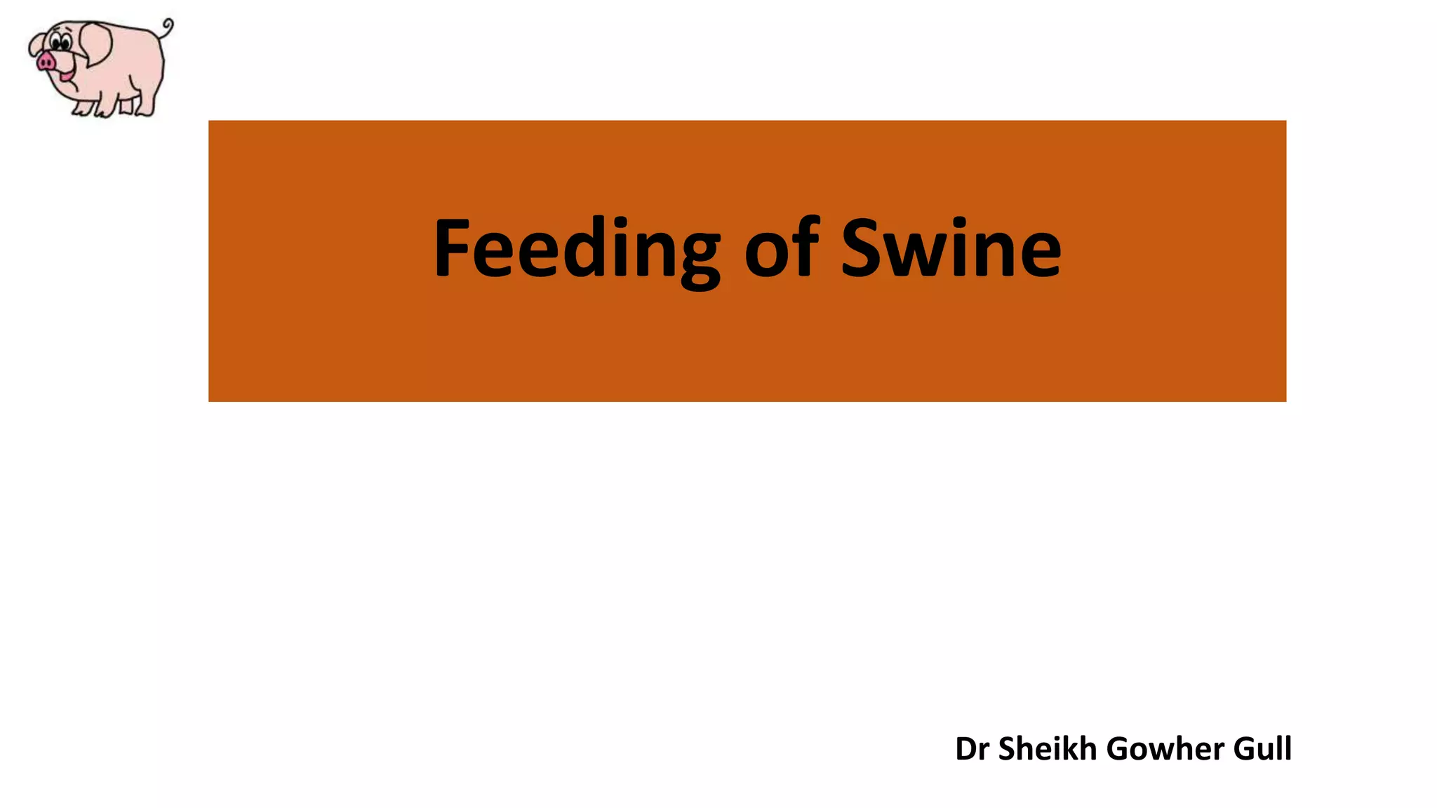 Swine feeding.pptx