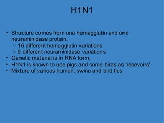 Swine Flu | PPT
