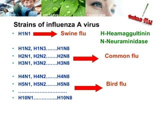 Recent advancements in Swine Flu Treatment | PPT