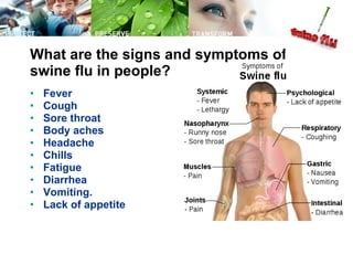 Recent advancements in Swine Flu Treatment | PPT