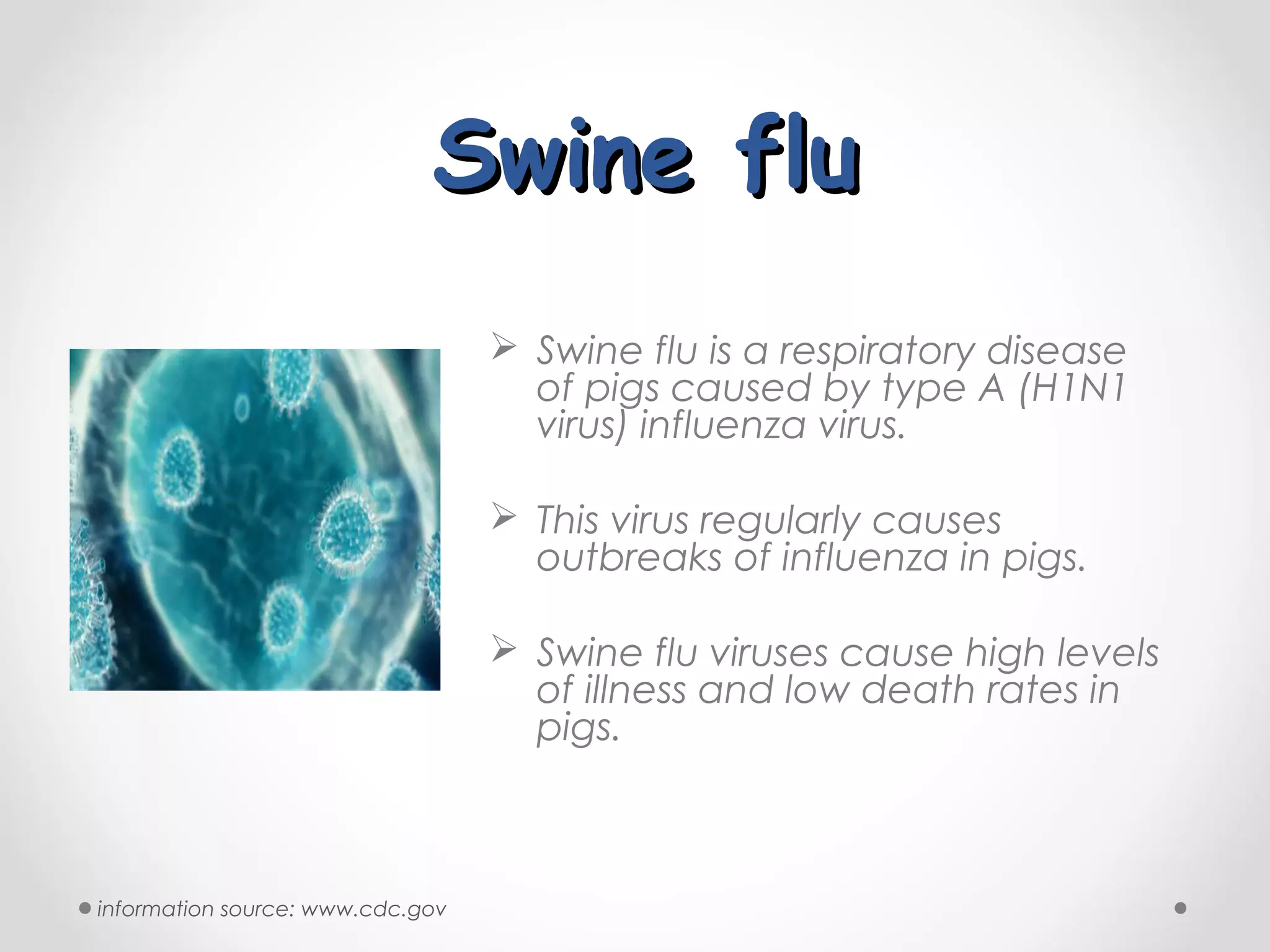 Swine flu | PPT | Cold and Flu | Diseases and Conditions