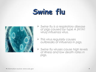 Swine flu | PPT