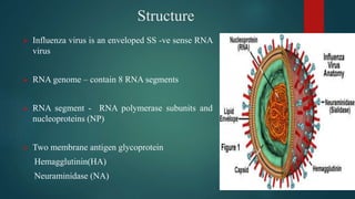 Swine flu | PPTX