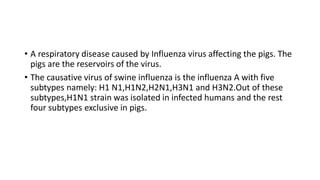Swine flu | PDF