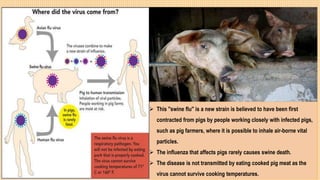 Swine flu | PPTX