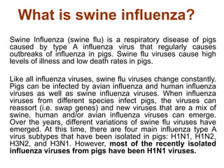 SWINE FLU.ppt