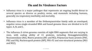 Swine Flu.pdf