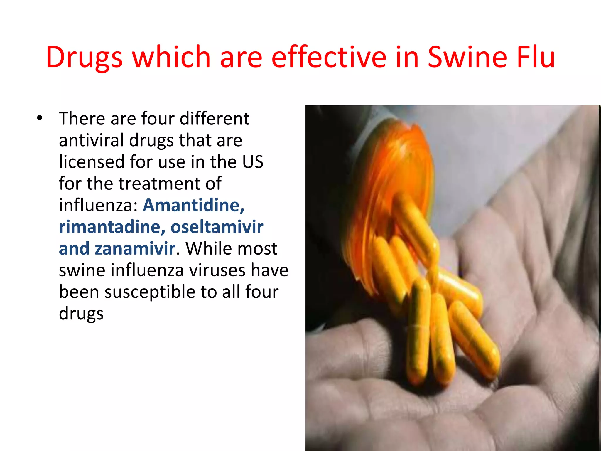 Swine Flue | PPT