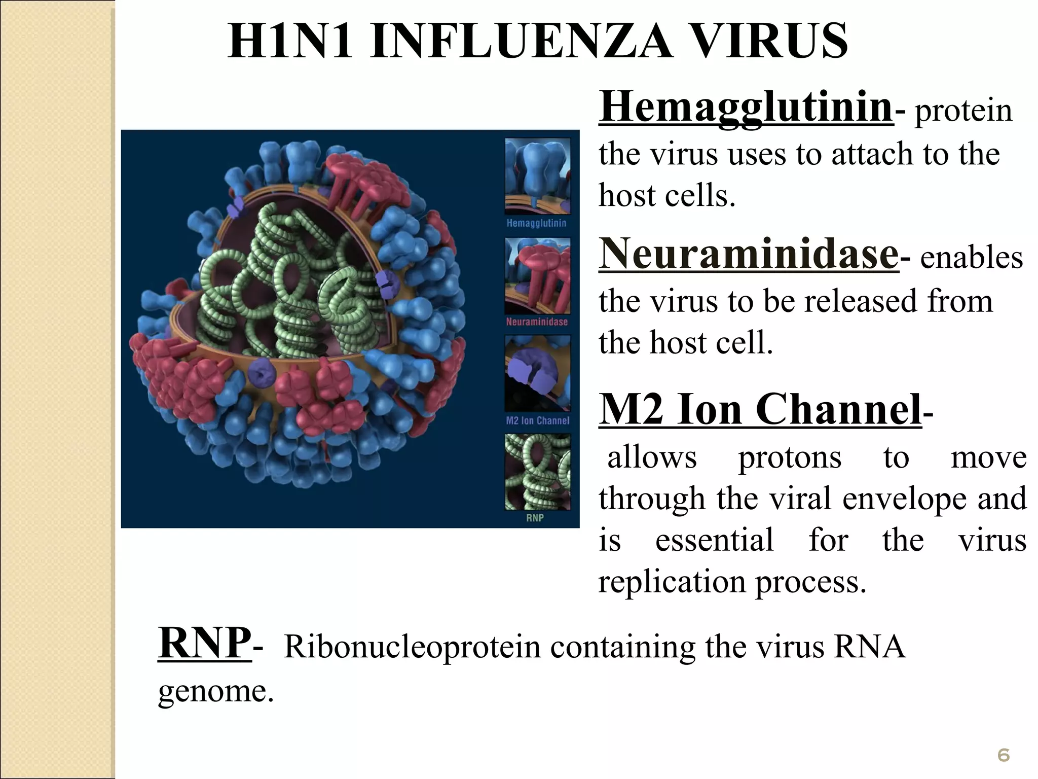 Swine flu ppt | PPT