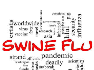 Swine Flu Ppt Pptx