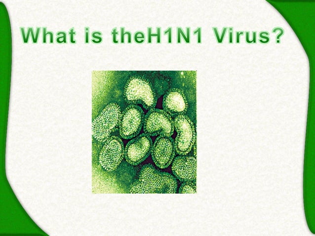 Understanding the H1N1 Virus | PPT