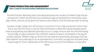 Swine Production.pptx