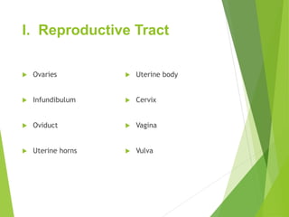 Swine Production.ppt