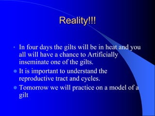 Swine_Production_and_Classes_REBECCA_BEGOON.ppt