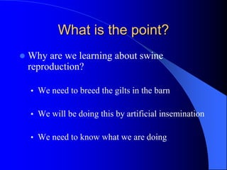Swine Production and Classes - Animal Production.ppt