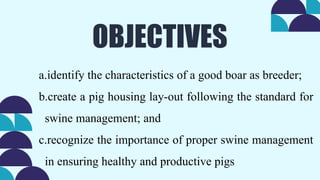 Swine Production and management Shela.pptx
