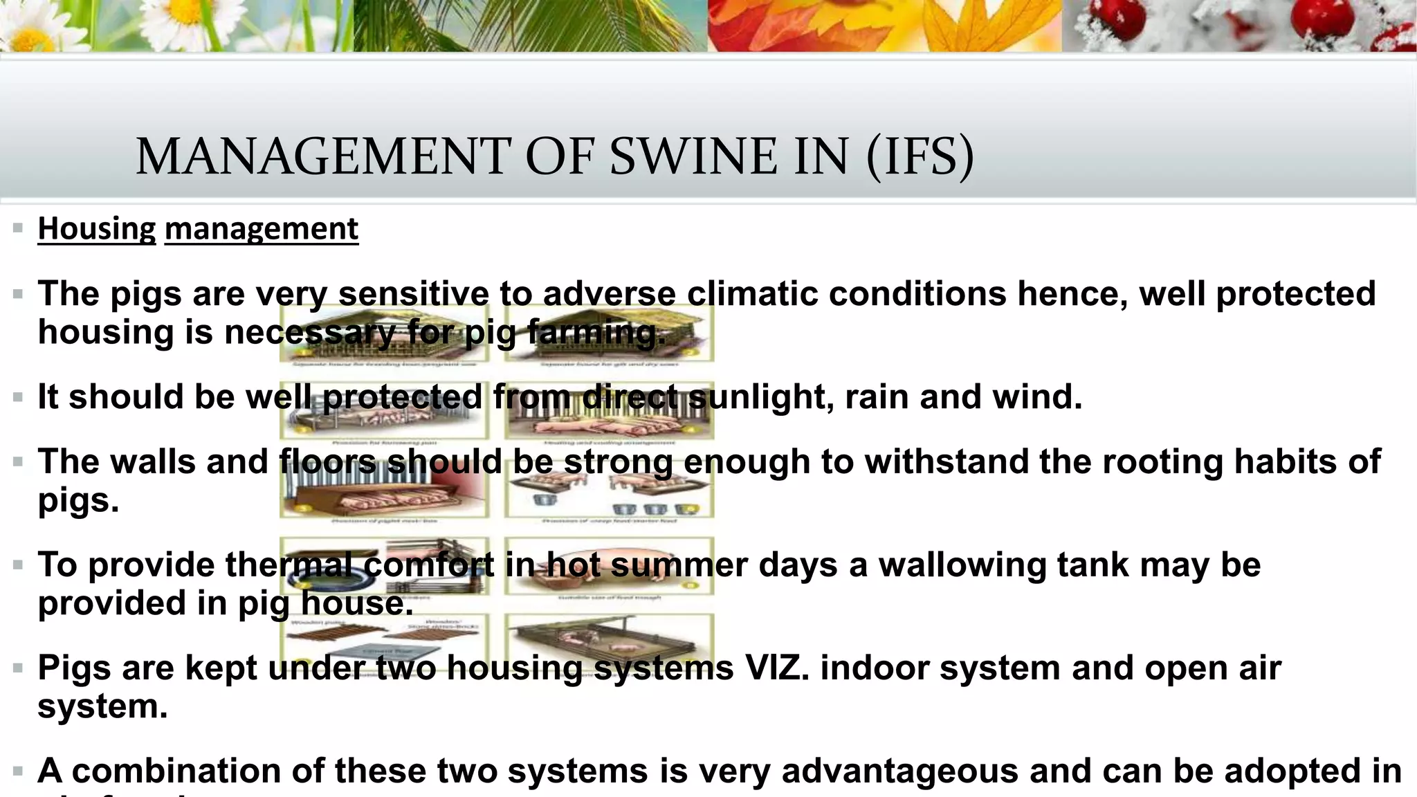 Swine production in intedrated farming system(2018042069) | PPT
