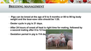 Swine production in intedrated farming system(2018042069) | PPT