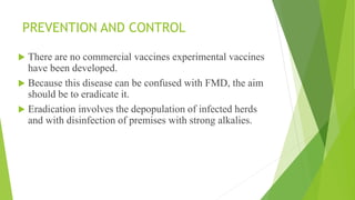 Swine vesicular disease | PPTX