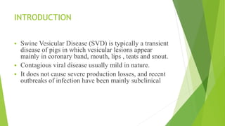 Swine vesicular disease | PPTX