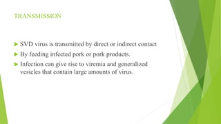 Swine vesicular disease | PPTX