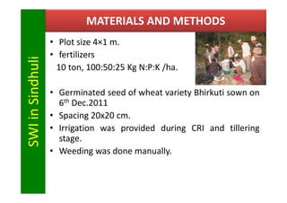 12107 SWI sindhuli nepal | PDF