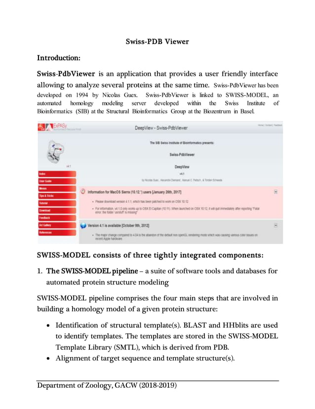 Swiss pdb viewer | DOCX | Chemistry | Science