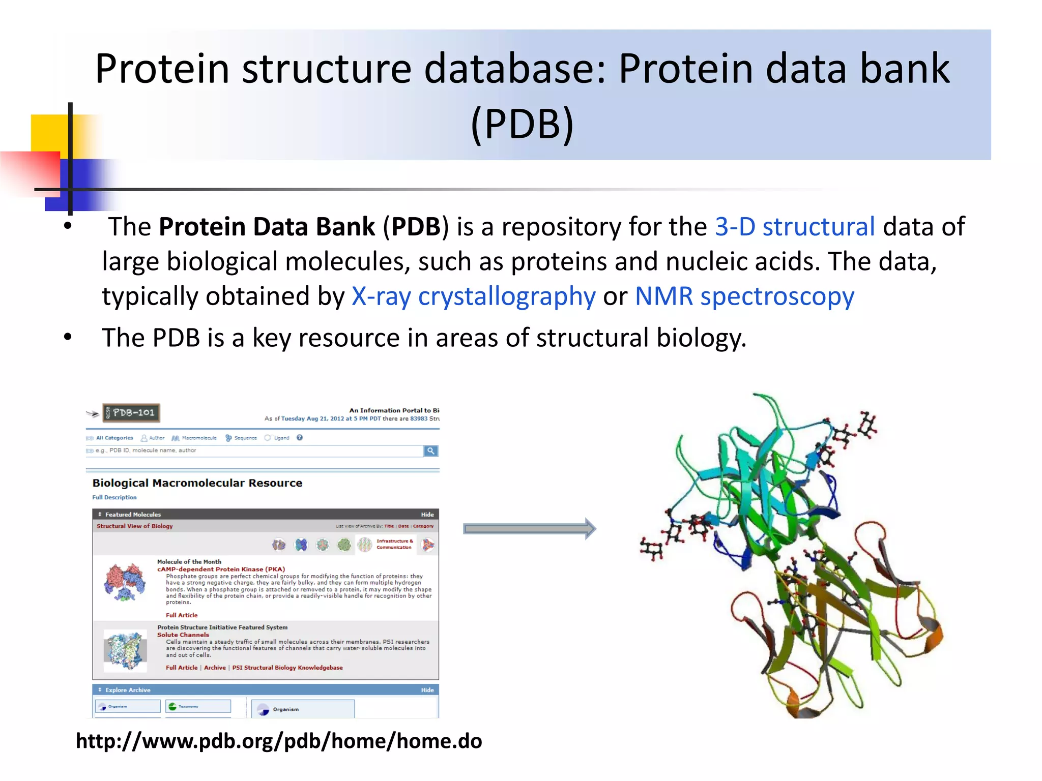 Swiss-PdbViewer Introduction-Wenwen Wang | PDF