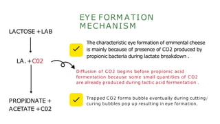Swiss cheese -Eye formation and mechanism | PPTX