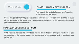 Swiss cheese -Eye formation and mechanism | PPTX