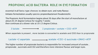 Swiss cheese -Eye formation and mechanism | PPTX