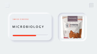 Swiss cheese -Eye formation and mechanism | PPTX