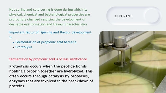 Swiss cheese -Eye formation and mechanism | PPTX