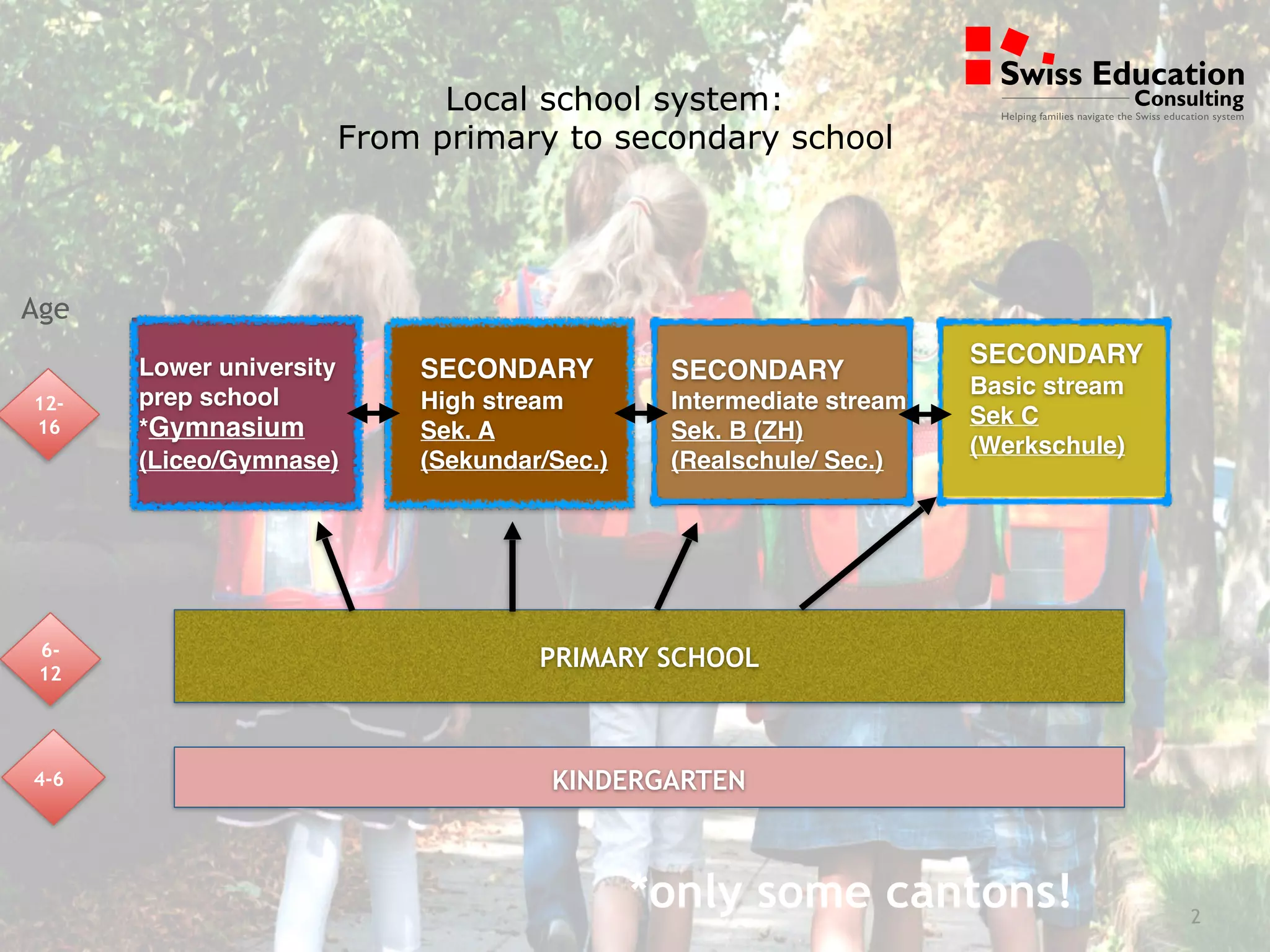 Swiss education system ability streaming and pathways | PDF