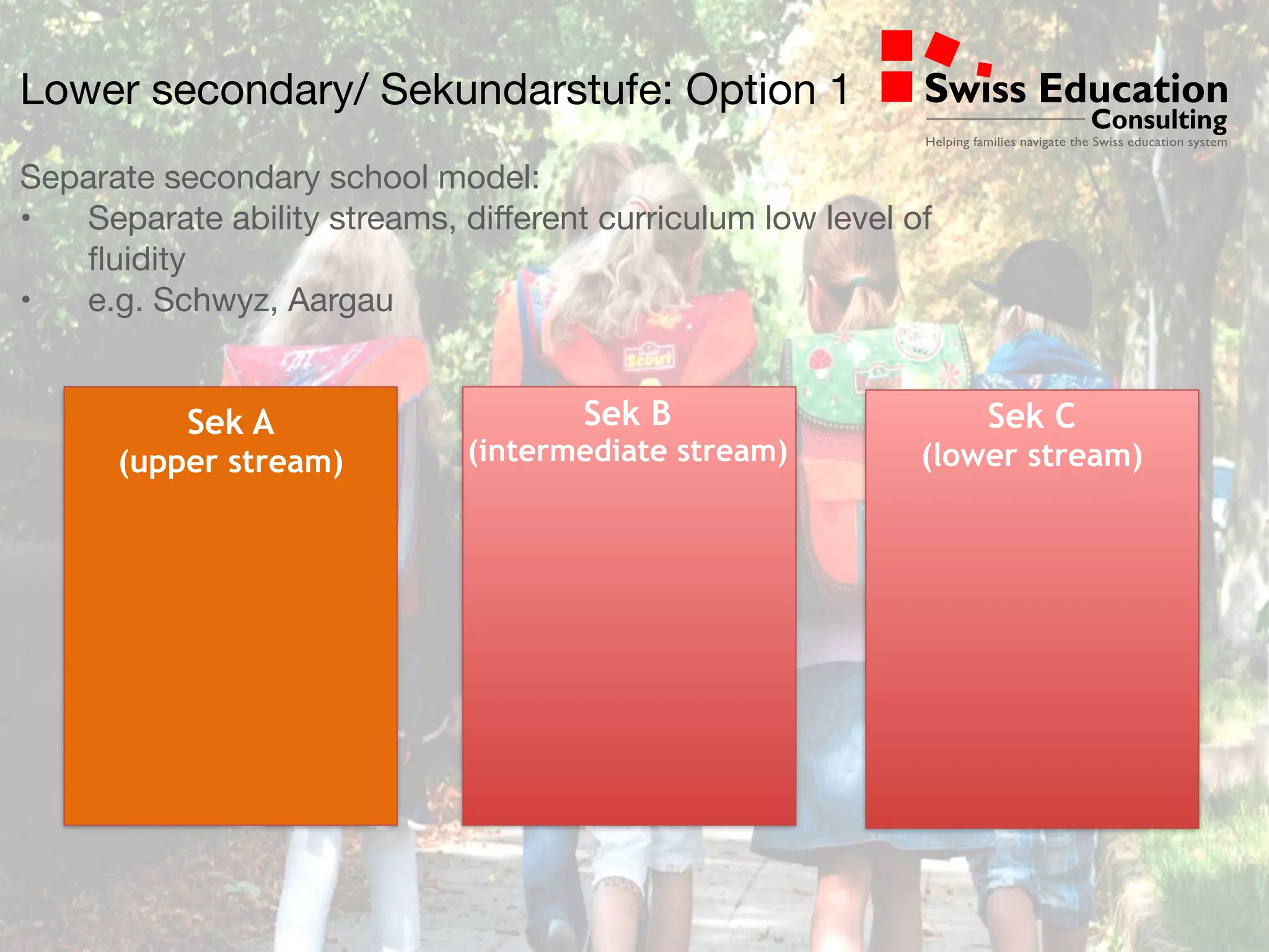 Swiss education system ability streaming and pathways | PDF