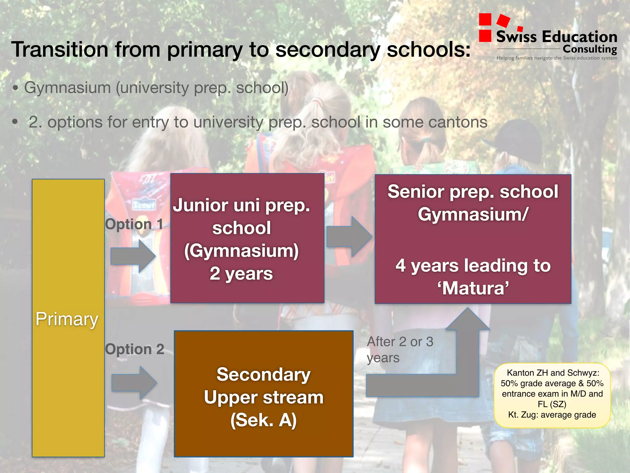 Swiss education system ability streaming and pathways | PDF