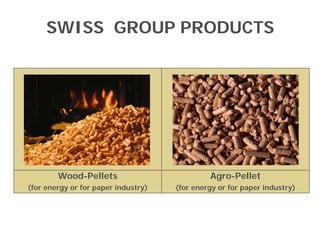 Swiss Group Presentation In English (Com Staff) | PDF
