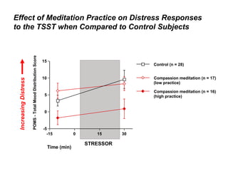 Swissnex Sf 2009 Meditation Talk | PPT
