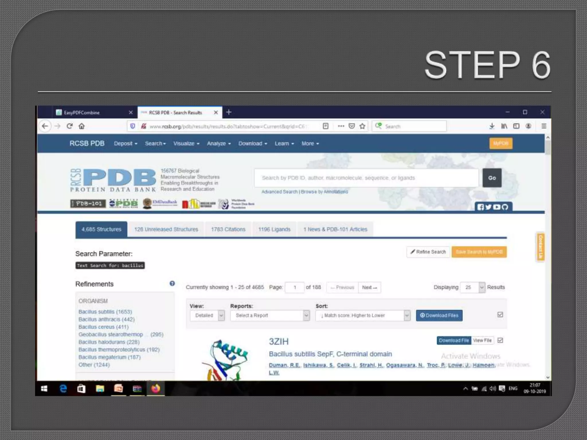 Swiss pdb viewer | PPTX