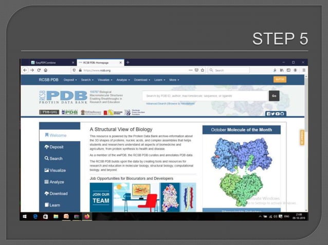 Swiss pdb viewer | PPTX | Chemistry | Science