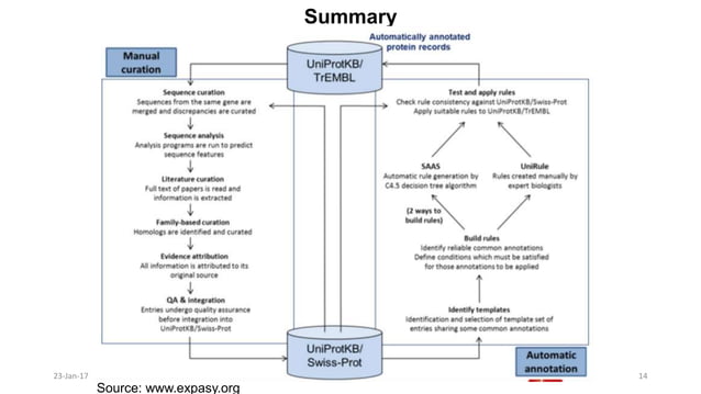 Swiss Prot Database Pptx Databases Computer Software And Applications